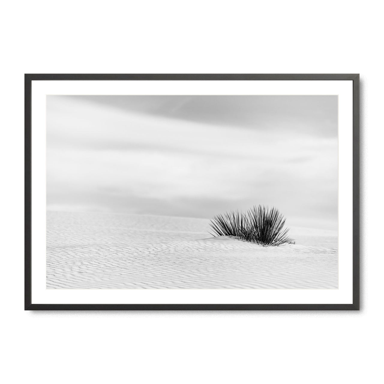 Still Standing – Limited Edition Minimalist Desert Fine Art Print – MK ...