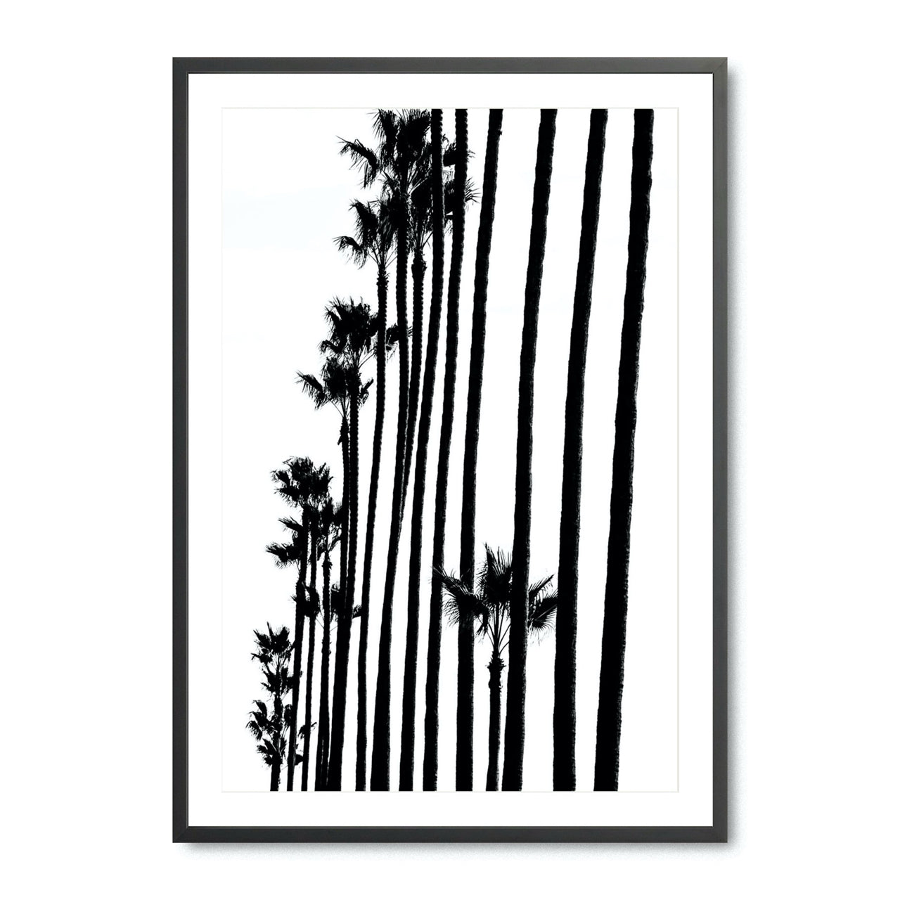 Tree Line – Limited Edition Encinitas Palm Fine Art Print – MK Envision ...