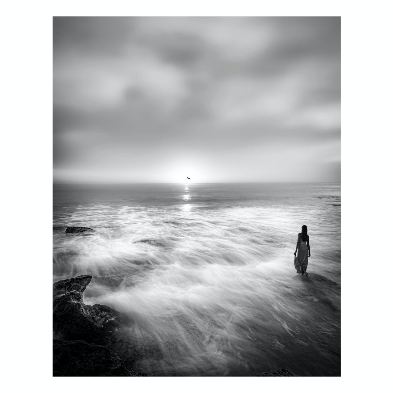 San Diego Collections - MK Envision Galleries