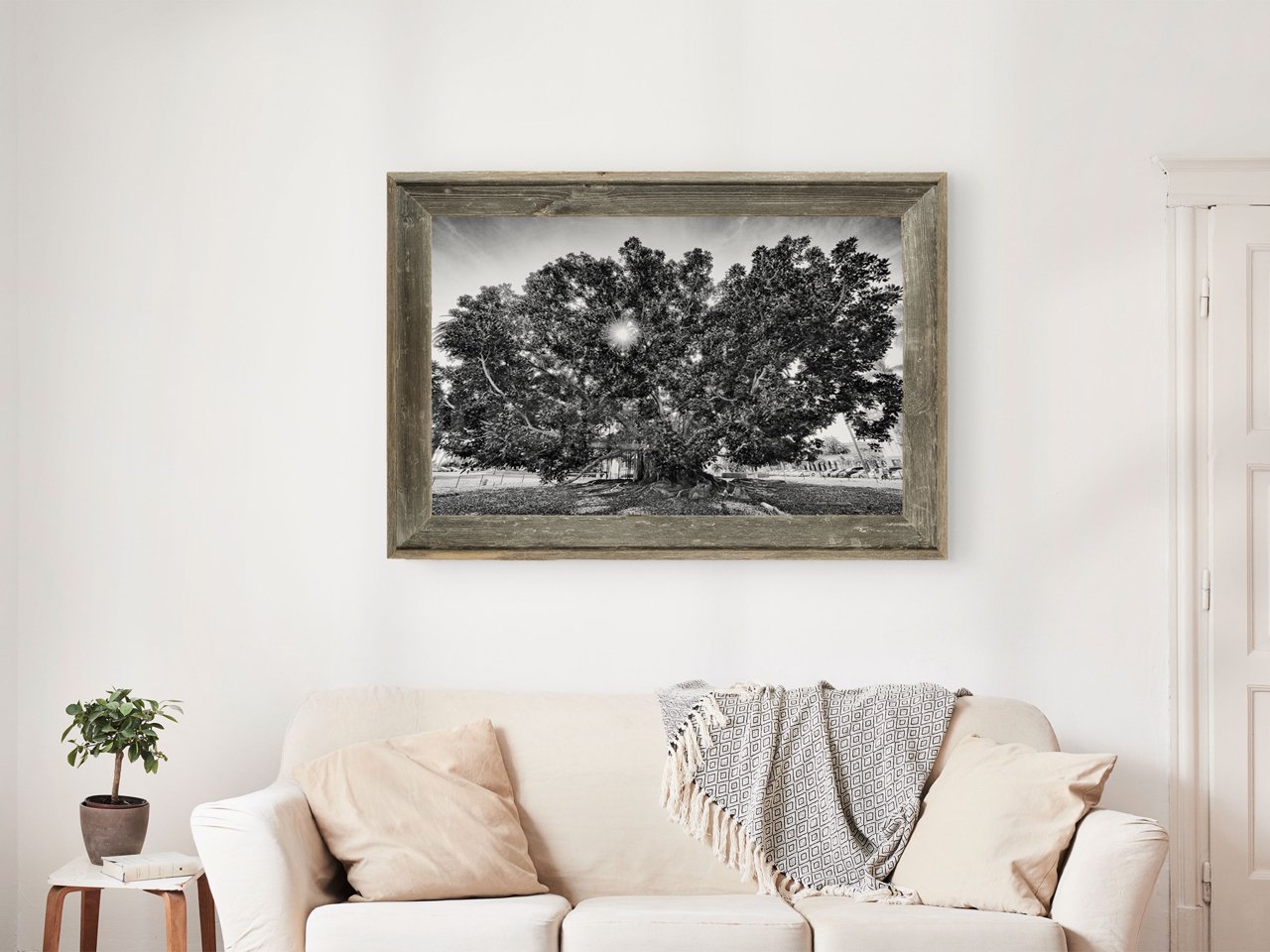 "The Big Tree" | Nature Landscape Photography | MK Envision Galleries